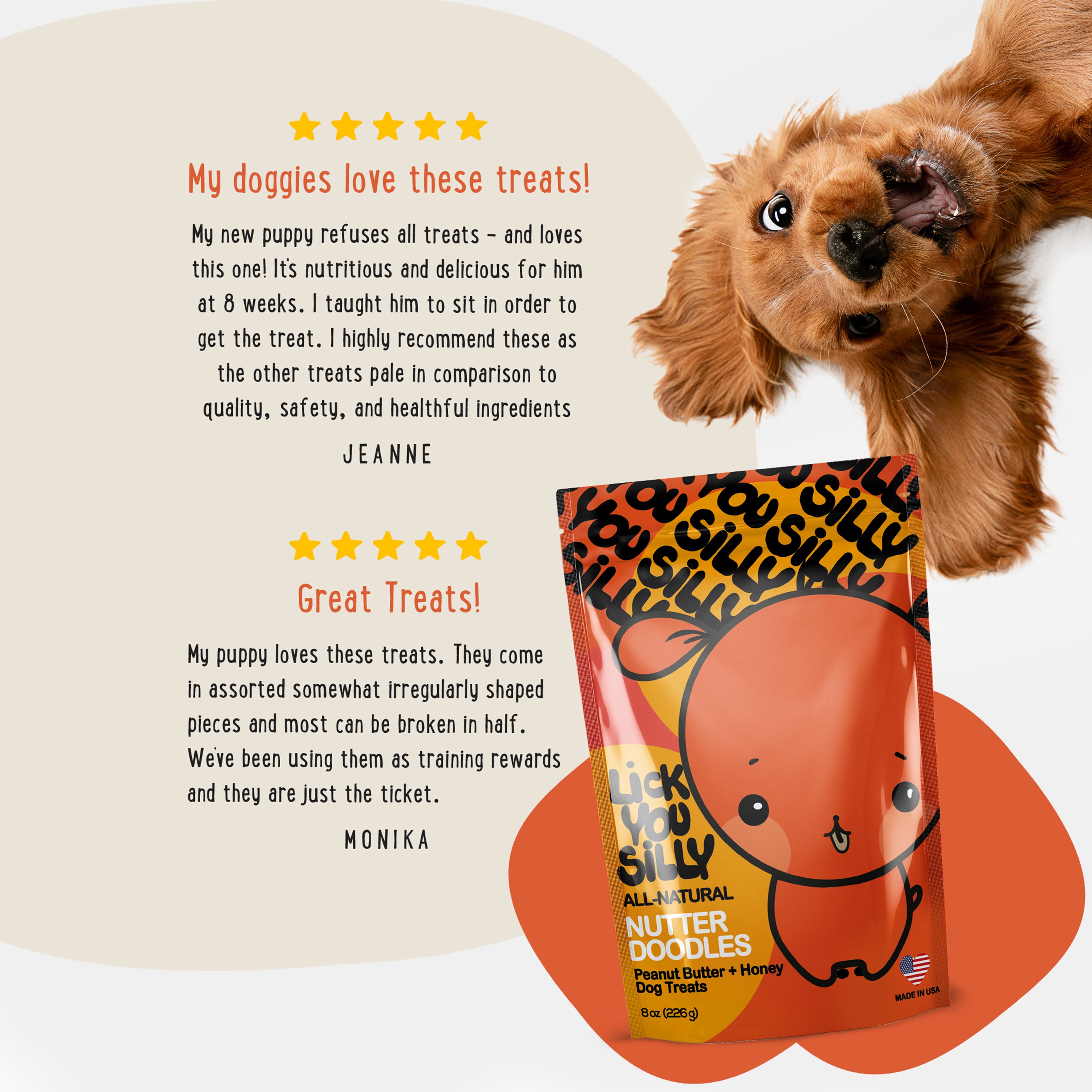 Nutter Doodles Peanut Butter Honey Dog Biscuits